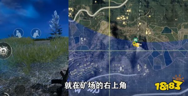 和平精英双生树在哪个位置_18183和平精英专区