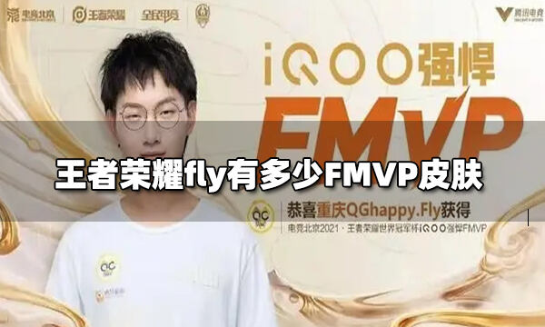 王者荣耀fly有多少FMVP皮肤_18183.com