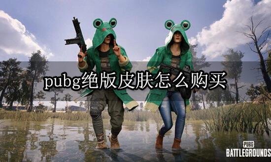 pubg绝版皮肤怎么购买 绝版皮肤购买方法介绍_18183游戏网专区