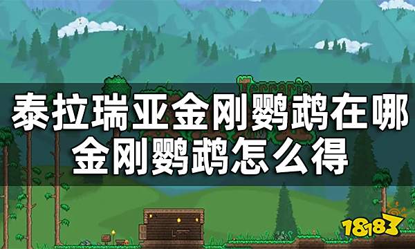 泰拉瑞亚金刚鹦鹉在哪 金刚鹦鹉怎么得_18183泰拉瑞亚专区