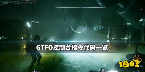 GTFO控制台指令有哪些 GTFO控制台指令代码一览_18183GTFO专区