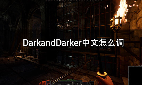 DarkandDarker中文怎么调 darkanddarker汉化教程_18183.com