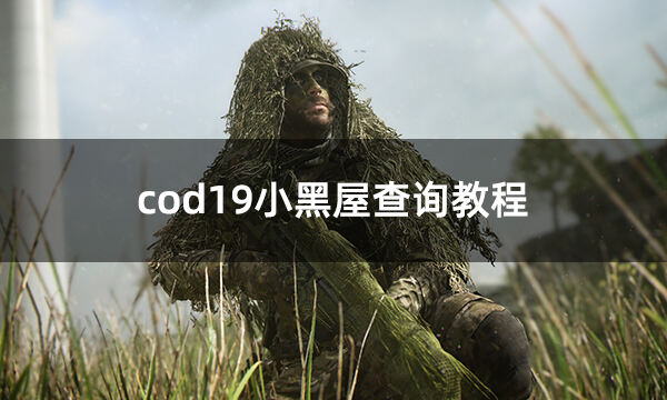 cod19小黑屋查询教程 使命召唤19账号问题查询方法_18183.com