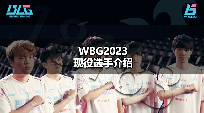 WBG有哪些选手 WBG2023现役选手介绍_18183抖音专区